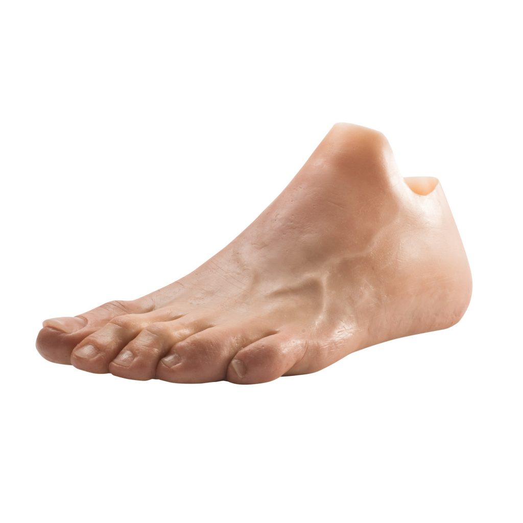 Foot Prosthetics - TP Ortho